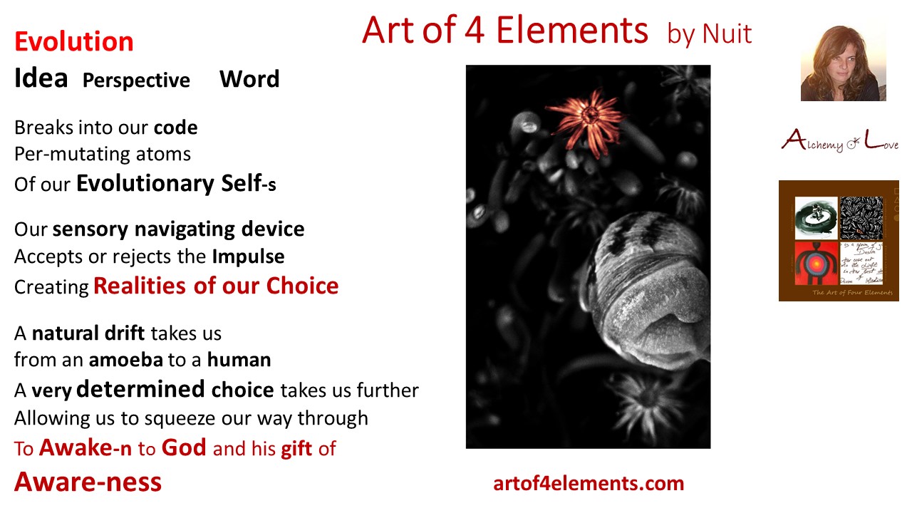 Art of 4 Elements: Discover Alchemy through Poetry (AoL #1)